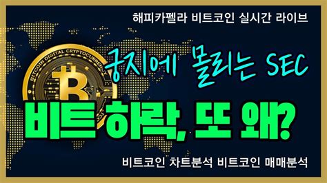 비트코인 실시간 비트는 다시 하락 왜 궁지에 몰리는 Sec 6월 14일 아침💎 비트코인 비트코인실시간 이더리움 차트분석 Youtube