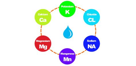 Sodium And Electrolyte Balance On A Low Calorie Low Carbohydrate Meal