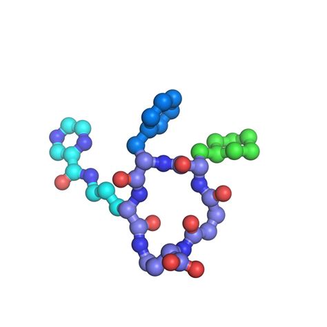X Ray Co Crystal Structure Of Src Kinase Bound To A Dna Templated