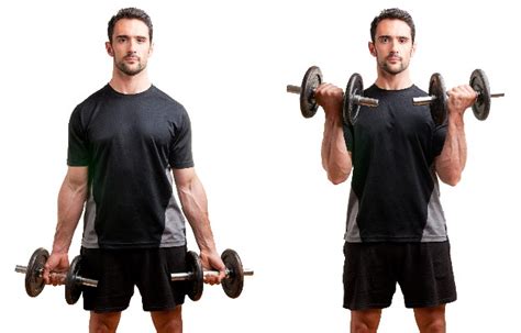 Dumbbell Curl Benefits Types Tips Precautions And The Correct Way