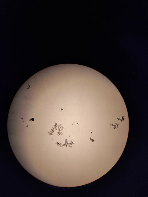 Cell Debris Or Contamination In Fibroblast Culture Researchgate