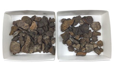 Lot Assorted Meteorite Fragment Specimens