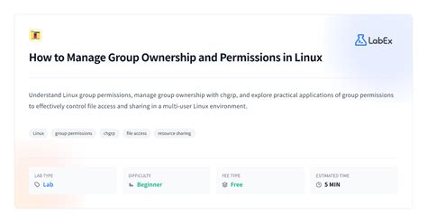 How To Manage Group Ownership And Permissions In Linux Labex