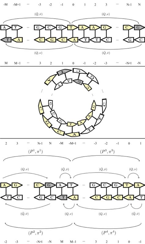 The Top Diagram Shows A Schematic Representation Of A Sequence Produced