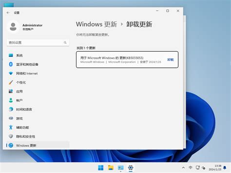 Win11企业版ltsc下载 Win11企业版ltsc23h2精简版下载 系统之家
