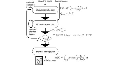 Coupled Electromagnetic Bioheat Transfer Model For Predicting Microwave