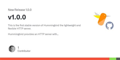 Hummingbird The Swift Server Framework Hits V10 Rhypeurls