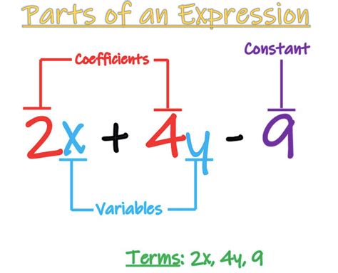 Identify The Algebraic Terms 6th Grade Quiz Wayground