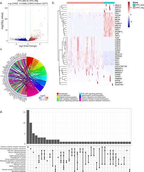 Bulk Cell Analysis Reveals Differentially Expressed Genes And The Download Scientific Diagram