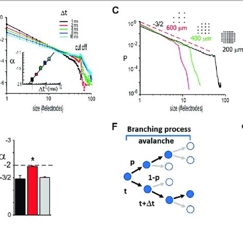 Critical Branching Parameter Estimation For Coherence Potentials A