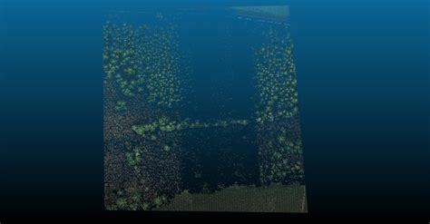 Lidar Survey Forestry Lidar Scotland