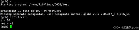 深入了解linux —— 调试程序 linux如何调试运行中的程序 csdn博客