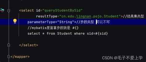 Mybatis怎么拿传入方法的参数 Csdn博客