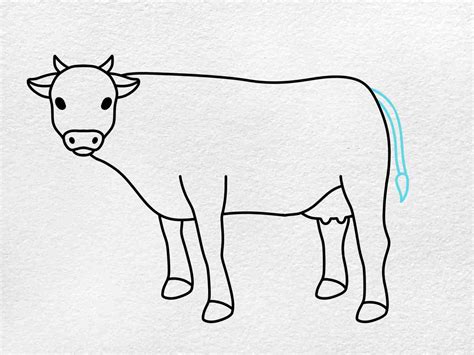 How To Draw A Cow Helloartsy