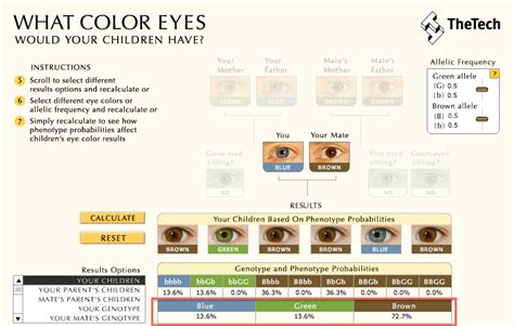 Punnett Square Calculator Eye Color