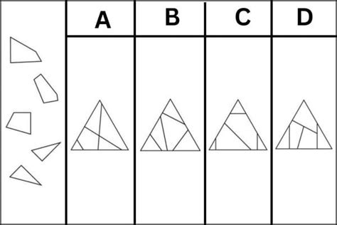 Wonderlic Practice Test Online Free 50 Questions 12 Minutes