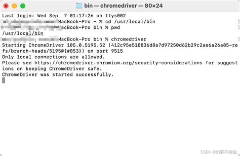 mac谷歌浏览器chromedriver驱动安装教程，实现浏览器自动化 mac chromedriver地址 csdn博客
