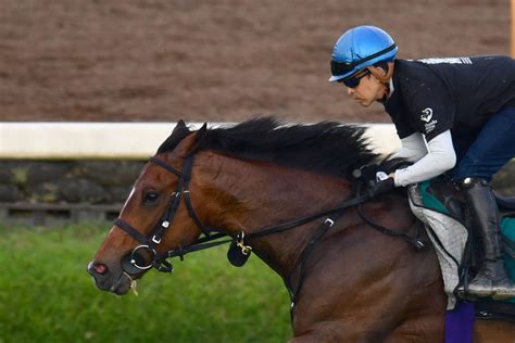 【次走報】〝4億円マッチ〟新馬戦惜敗2着のシャザーンは放牧へ 友道調教師「暑い時季なので無理せず」 競馬ニュース・特集なら東スポ競馬