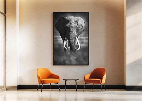 Dreamscape Photoshop Effect Photographybb Marketplace