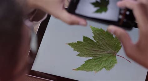 The Future Of Adobe Creative Apps And Microsoft ChurchMag