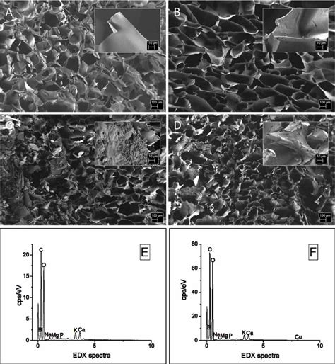 SEM Images Of A MC B MCMH C MCMHB3 And D MCMHB3C Download Scientific Diagram