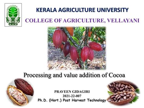 Processing And Value Addition Of Cocoa Ppt Pptx
