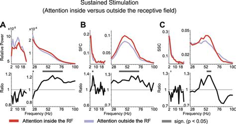 Attentional Modulation Of Synchronization During Sustained Visual Download Scientific Diagram