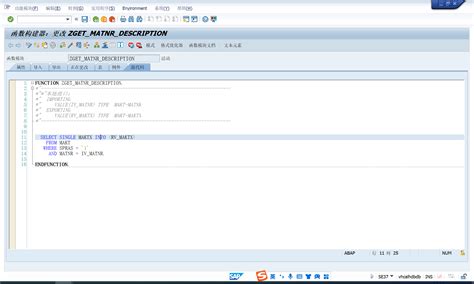 Abap接口类型 Leafinwind