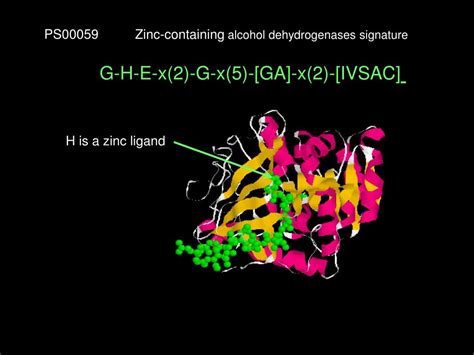 Ppt Motif Discovery In Protein Sequences Using Messy De Bruijn Graph Powerpoint Presentation