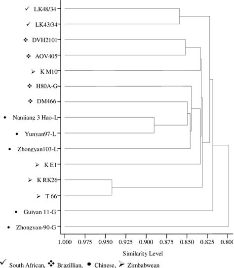 Dendrogram Generated By UPGMA Analysis Of Combined Molecular And Download Scientific Diagram
