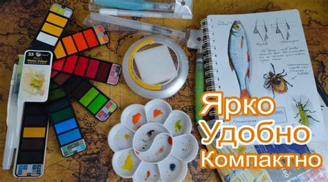 Уроки рисования карандашами и пастелью — Научиться рисовать может каждый