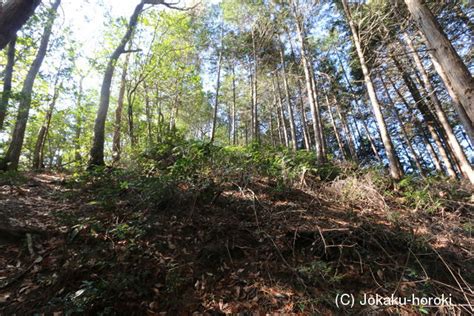 美濃 小野城 関市 の写真集 城郭放浪記