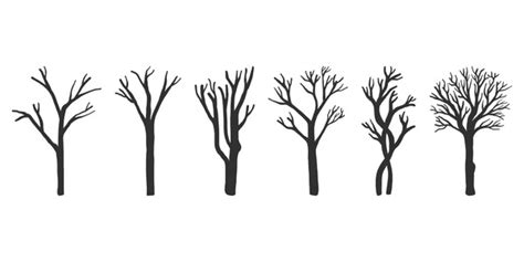 7 928 en la categoría Base tree trunk de imágenes fotos de stock e ilustraciones libres de