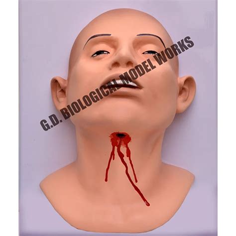 Forensic Science Models High Quality Pvc Anatomically Correct In