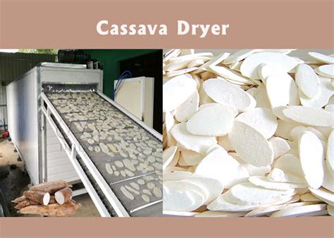 Industrial Cassava Slicer And Dryer Work Together To Produce Quality