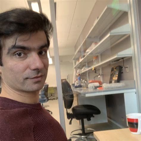 Mohammad Javad Hajipour Research Scientist Research Profile