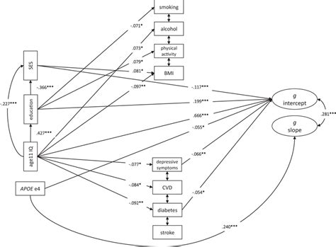 Life Course Path Model Path SEM Model Showing Significant P Download Scientific Diagram