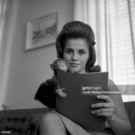 Lynn Loring Poses For Portrait At Home In Los Angeles Ca News Photo