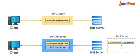 What Is Address Resolution Protocol And How Arp Works