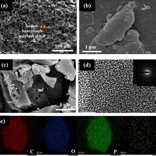 A B SEM Images Of The Cork Precursor C SEM Image Of PNOAC D TEM Download Scientific