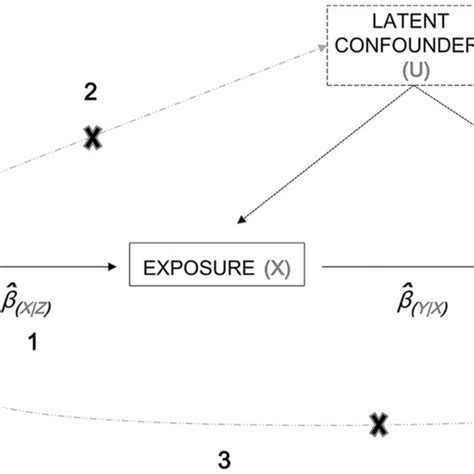 Directed Acyclic Graph Illustrating Core Instrumental Variable