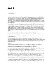 LAB Docx LAB Course Hero