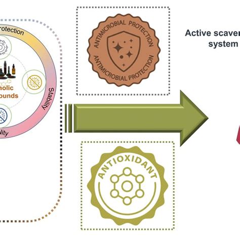 Graphical Depiction Of Antioxidant And Antimicrobial Properties Of Download Scientific Diagram