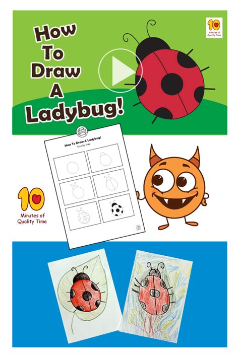 How To Draw A Ladybug Step By Step
