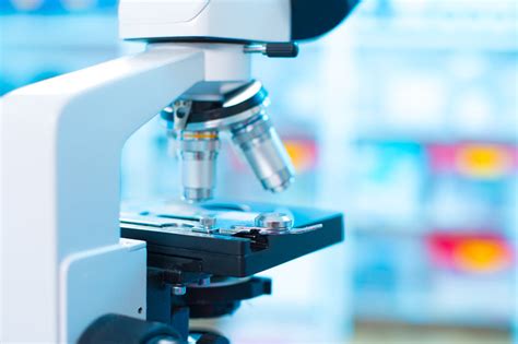 Histopath Small Test At Aarogyam Aarogyam