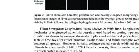 Average Longitudinal Tensile Properties Of Hydrogel Coated Adventitia Download Scientific