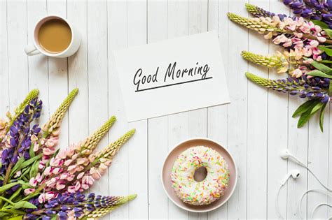 한 잔의 커피와 가벼운 나무 테이블에 루피 너 스 꽃 도넛으로 여전히 생활 공간 복사 0명에 대한 스톡 사진 및 기타 이미지 0명 구도 꽃 식물 Istock