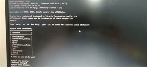 Poojitha Matam On Linkedin Codingjourney Codingnewbie Freshers Javafullstack Mysql Dbms