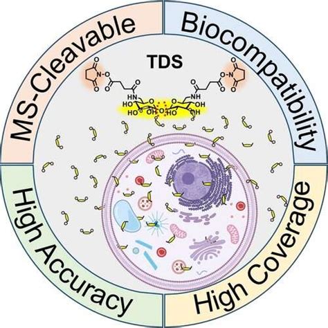 New Technique Enables In Vivo Analysis Of Protein Complexes Chemistry