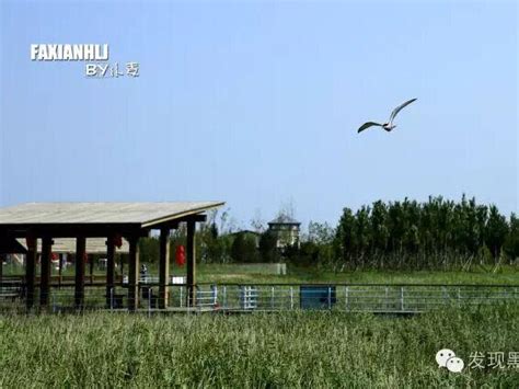 黑龙江省的江南水乡大庆黑鱼湖